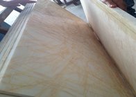 Custom Cut Golden Spider Marble Floor Slabs For Corridor / Balcony