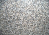 Canada Caledonia Granite Countertop Slabs , Grey Polished Granite Slabs