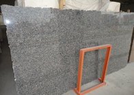 Canada Caledonia Granite Countertop Slabs , Grey Polished Granite Slabs