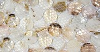 Round Mother Of Pearl Bathroom Tiles Fresh Water Seashell Decor 2mm Thickness