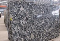 Black Marinace Stone Slab Countertops Granite Contemporary Kitchen Flooring Wall