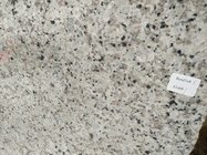 Chinese Bala white Granite slab Countertop vanity top, Prefabricated Granite Tops